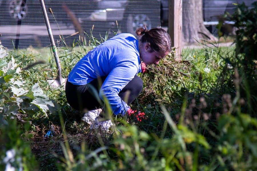 JOURNAL: Community Service Organizations - Global Brigades